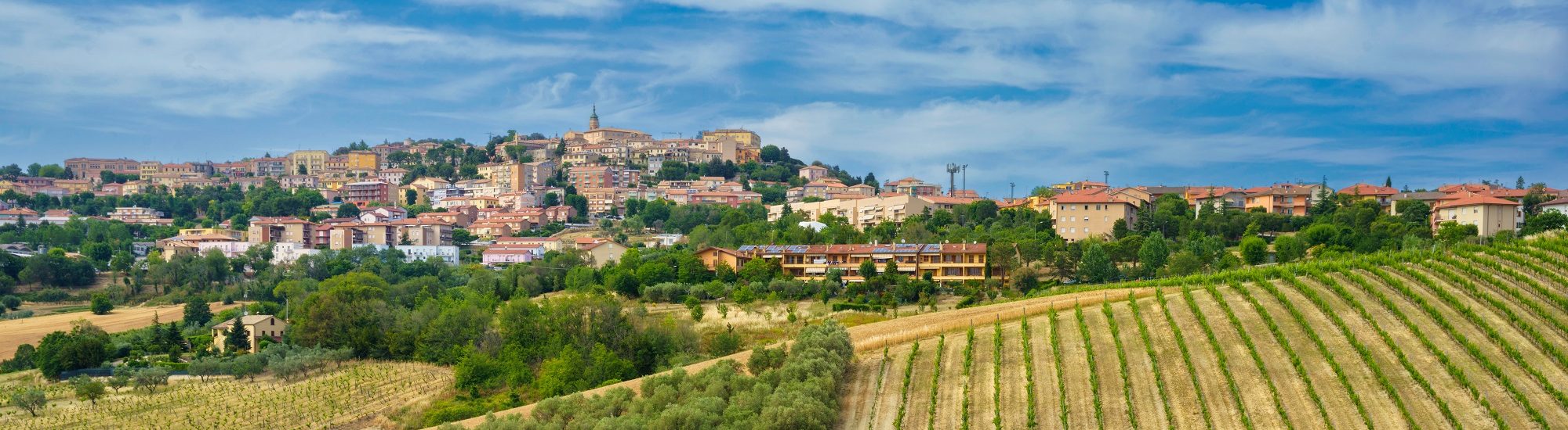 Marche Wine Region | a Guide by Cellar Tours™