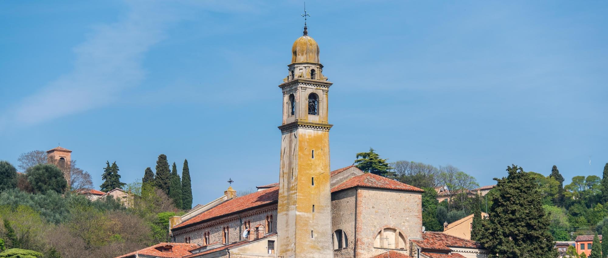 Colli Euganei Wine Tour: Private VIP Visits, Rolling & Verdant Hills