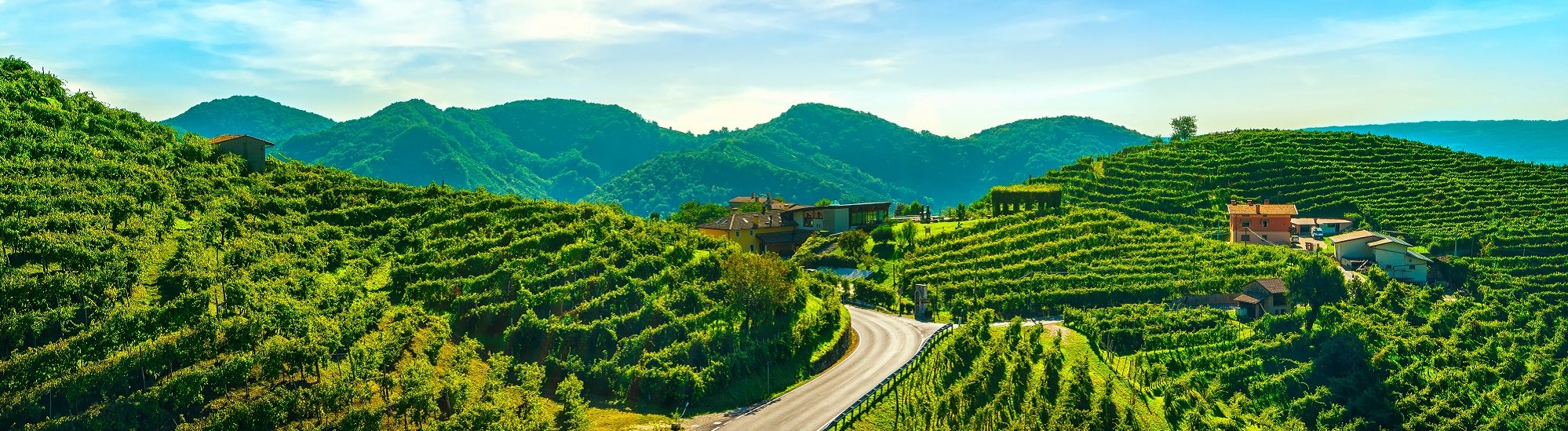 Prosecco Wine Region | a Guide by Cellar Tours™