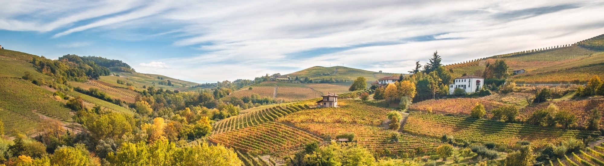 Roero Wine Region | a Guide by Cellar Tours™