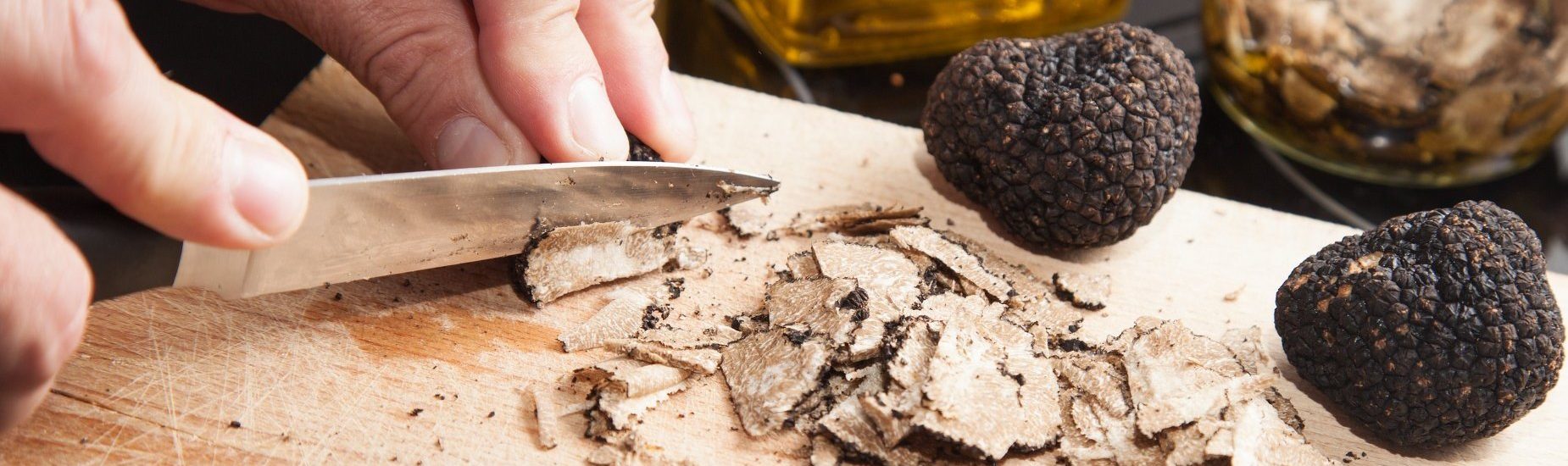 Truffle Hunting Tour in Italy | Umbria, Tuscany & Piedmont