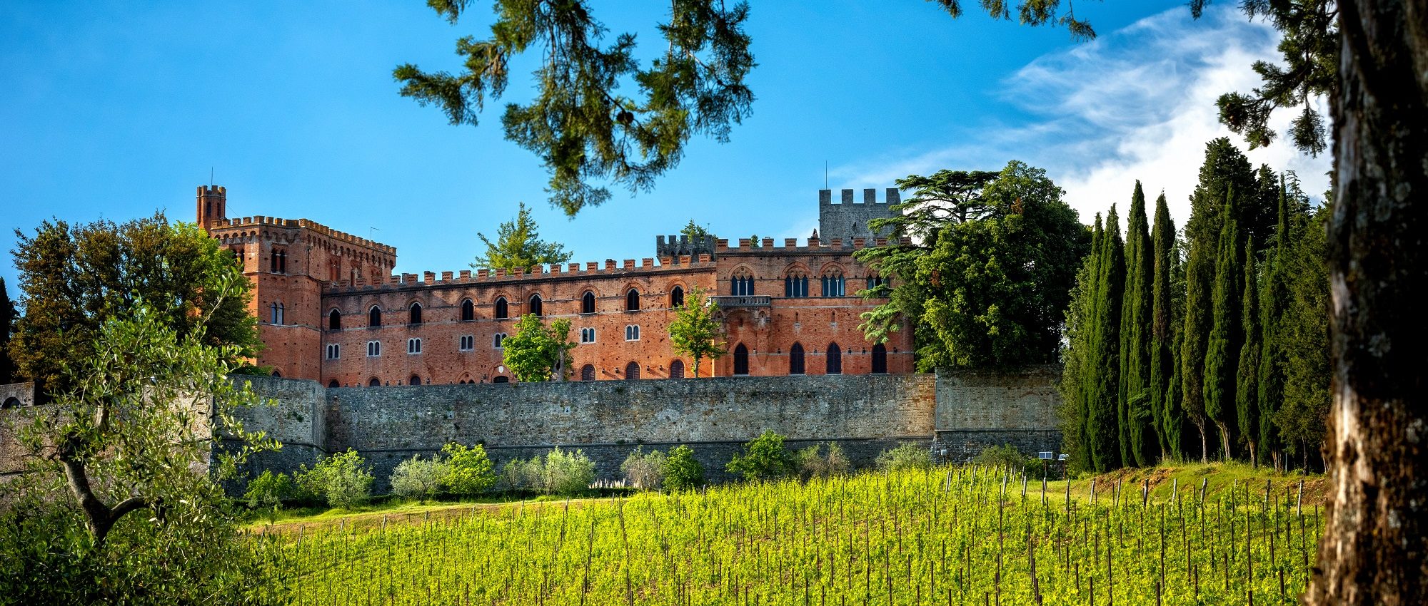 Chianti Classico Wine Region | a Guide by Cellar Tours™