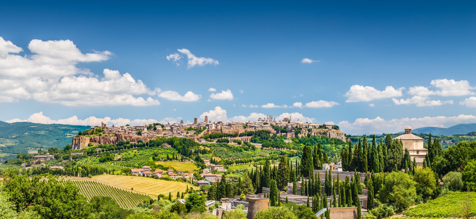 Food In Umbria Wine