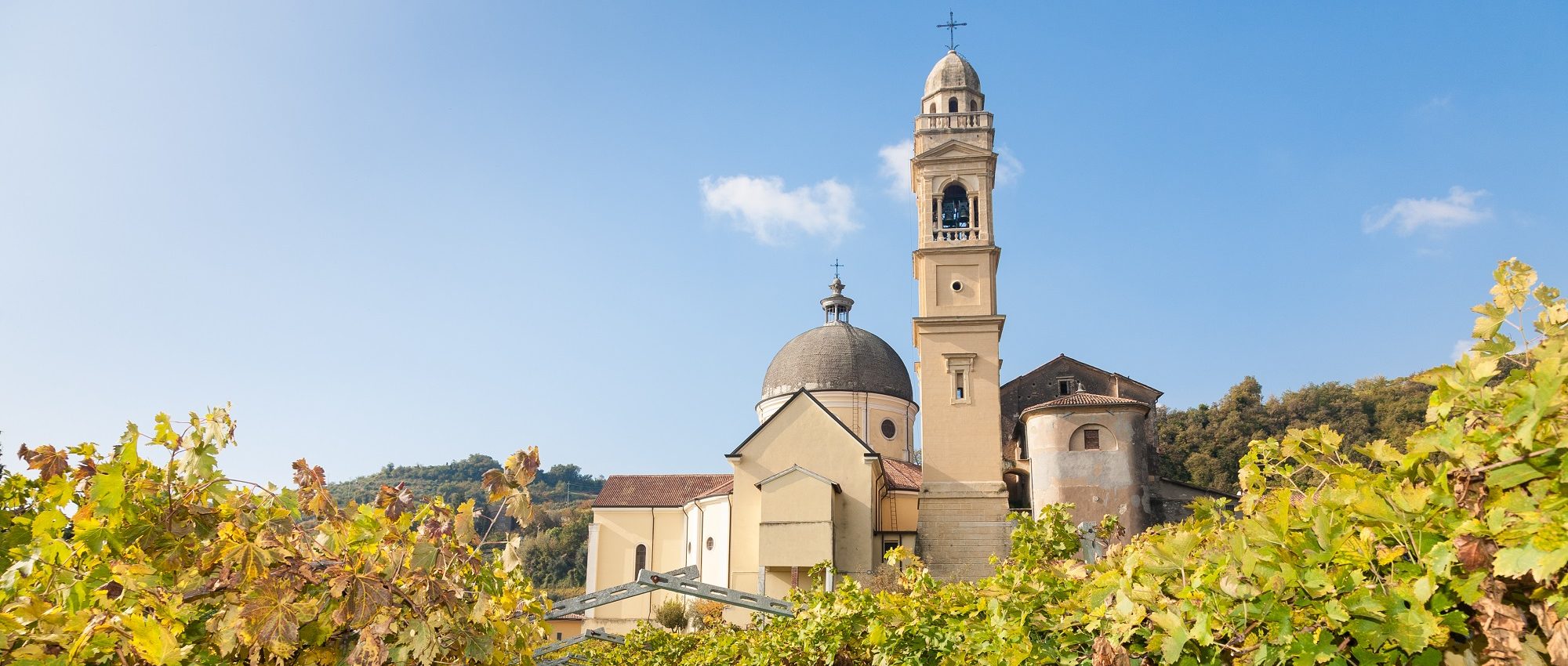 Valpolicella Wine Region Guide » Italian Wine Regions » CellarTours