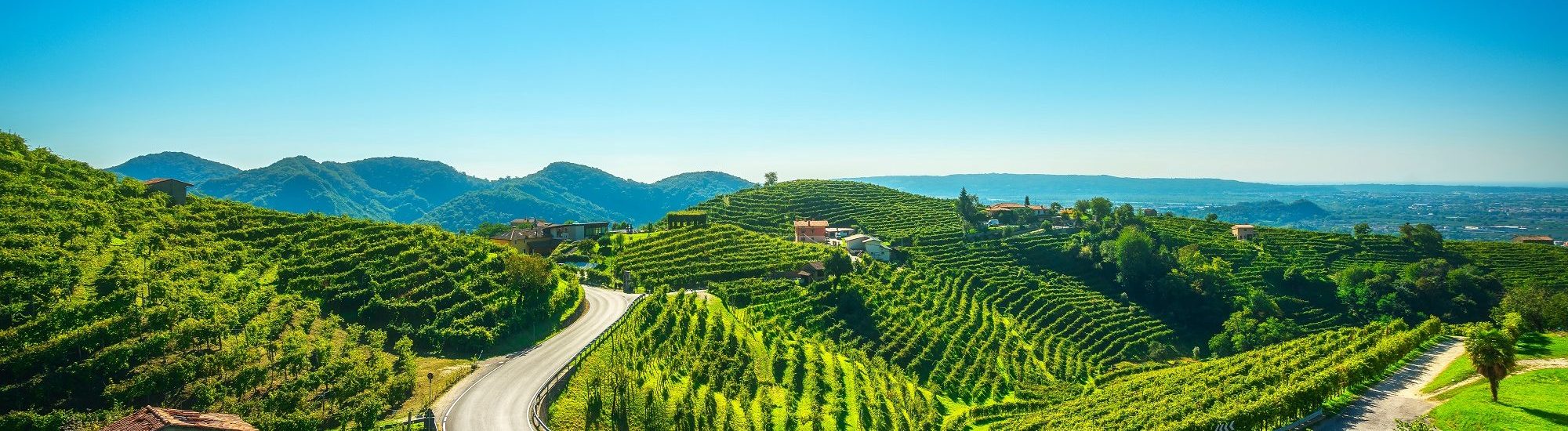 Veneto Wine Region | a Guide by Cellar Tours™