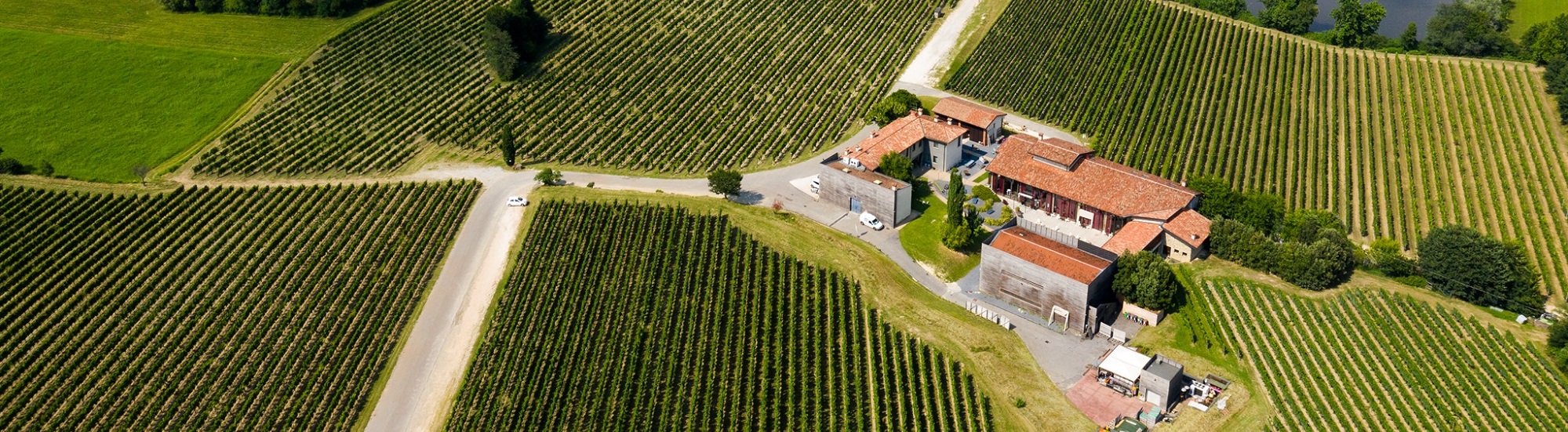 Bersi Serlini Winery | a Guide by Cellar Tours™