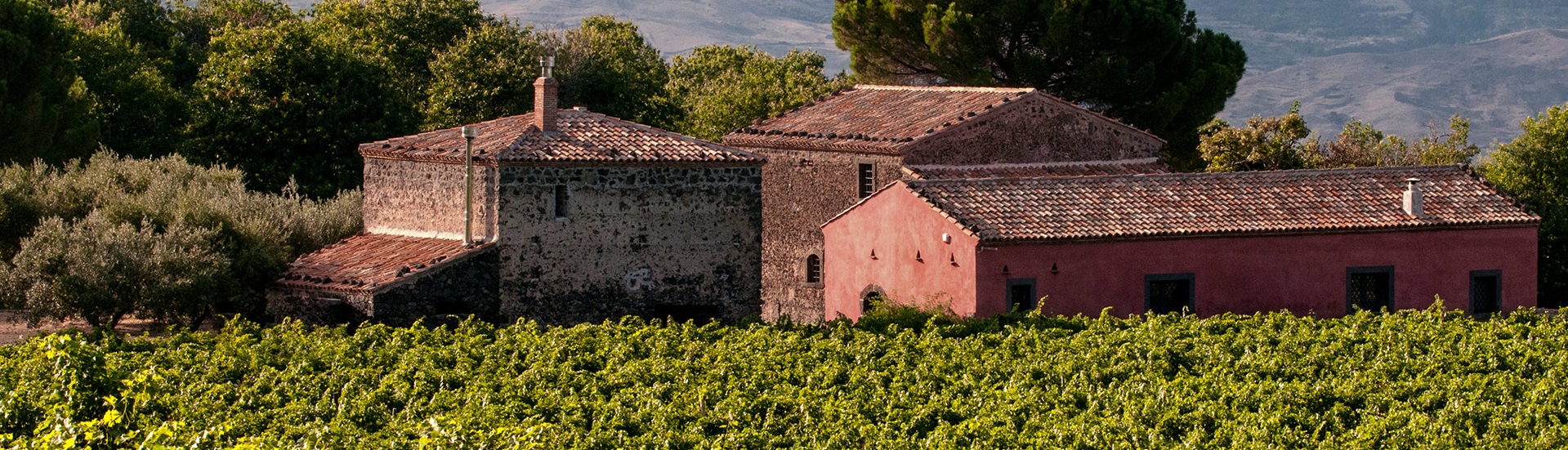 Planeta Winery | a Guide by Cellar Tours™