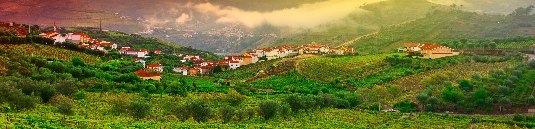 Dão Wine Region | a Guide by Cellar Tours™