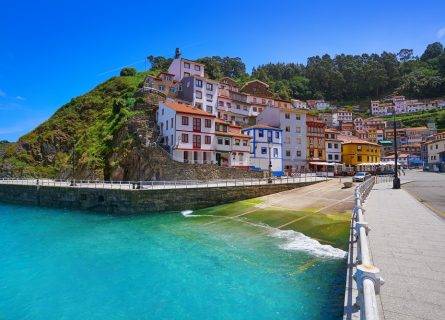 Asturias Food Tour: Gastronomic Journey in Northern Spain | Cellar Tours™