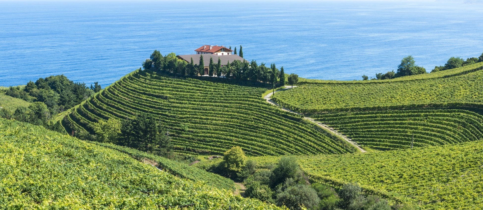 Basque Food & Wine Tour » Ulimate Foodie Experience » CellarTours