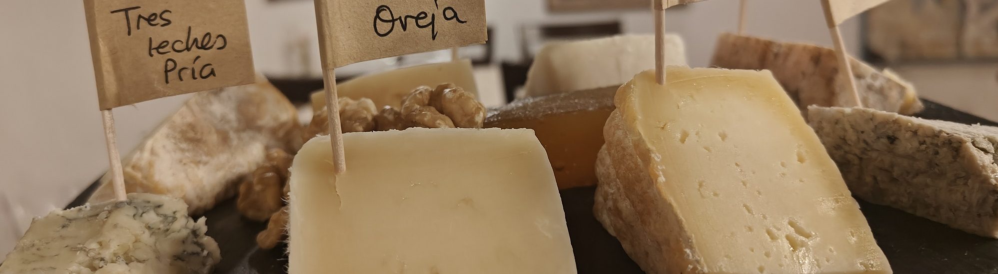 Cheese Lovers Tour: Discover the Best Cheeses in Spain | Cellar Tours™