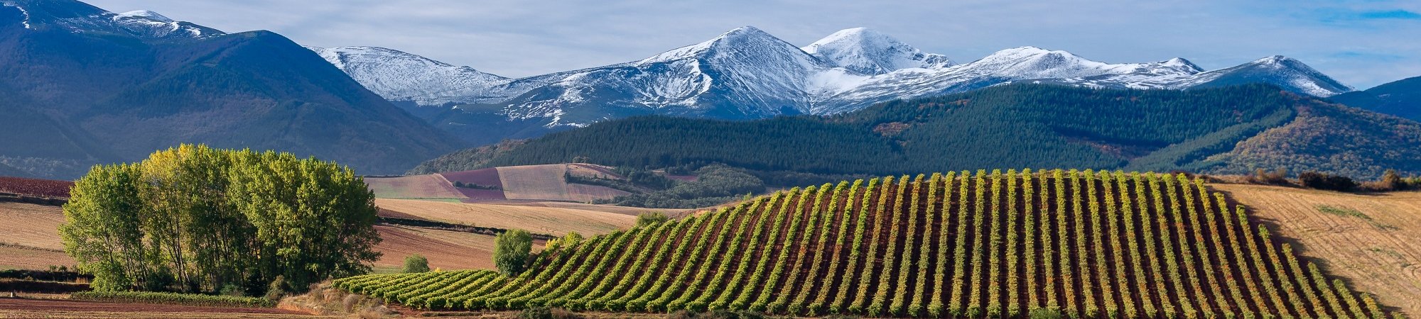 Rioja Alta Wine Region » Rioja » Cellar Tours