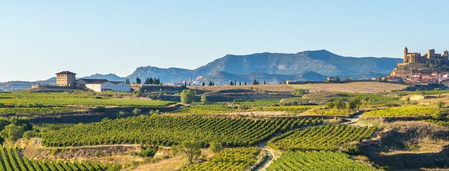 Wine Tours Spain: Luxury Hotels, Private Winery Visits & Fine Dining