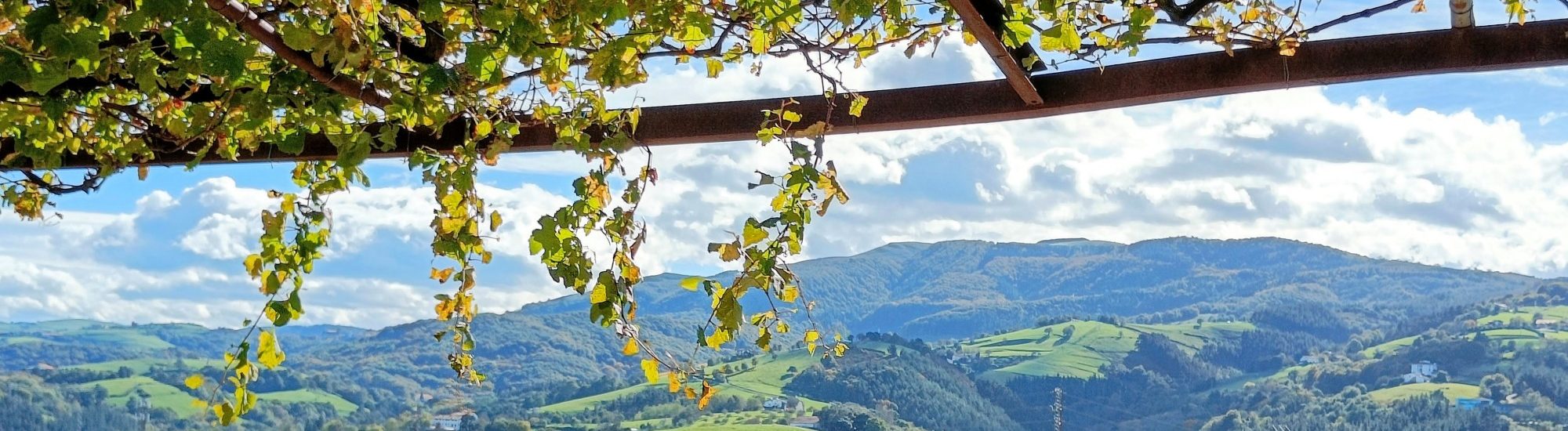 Basque Country Wine Region | A Guide by Cellar Tours