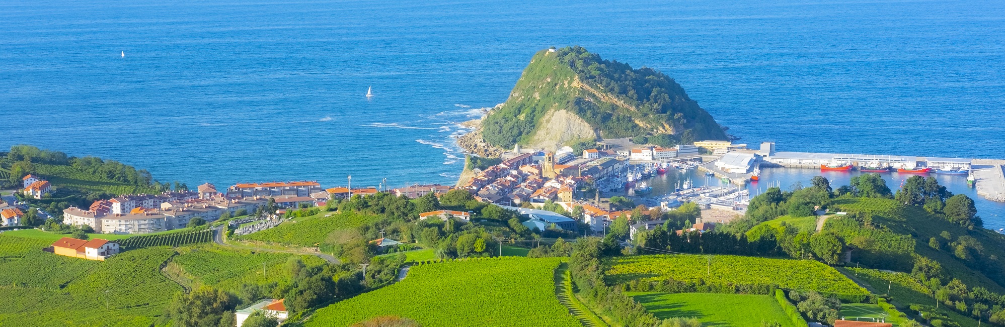 Basque Country Wine Region | A Guide by Cellar Tours