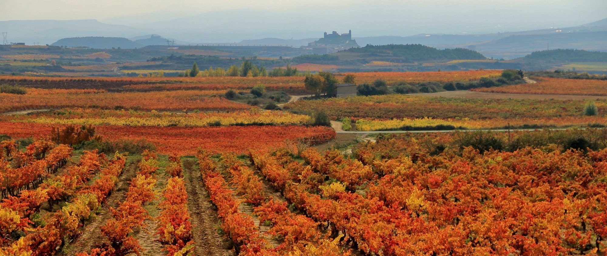 La Rioja » Spanish Wine Region » CellarTours