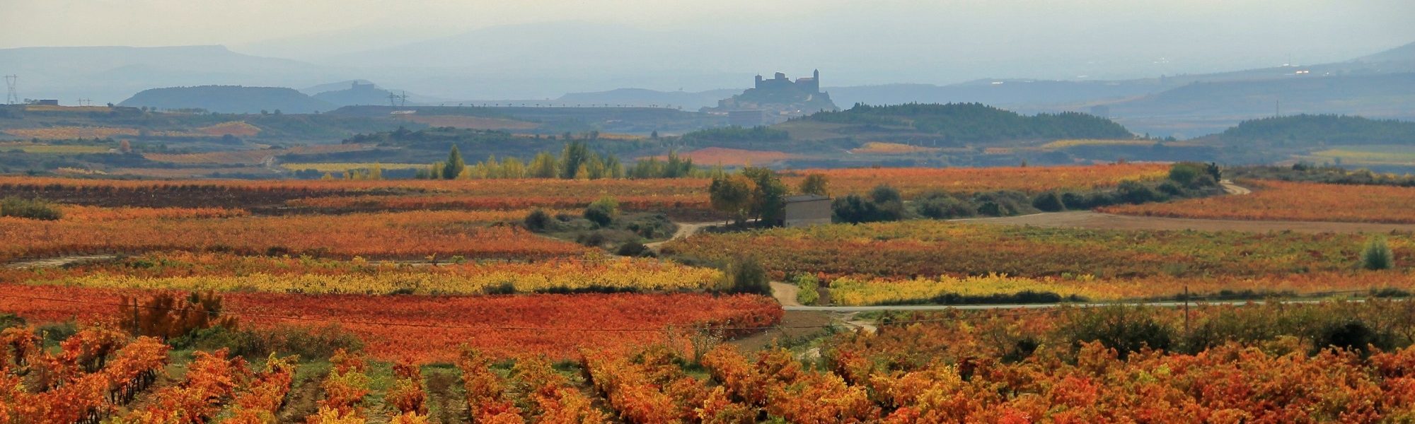 La Rioja Wine Regions | a Guide by Cellar Tours™