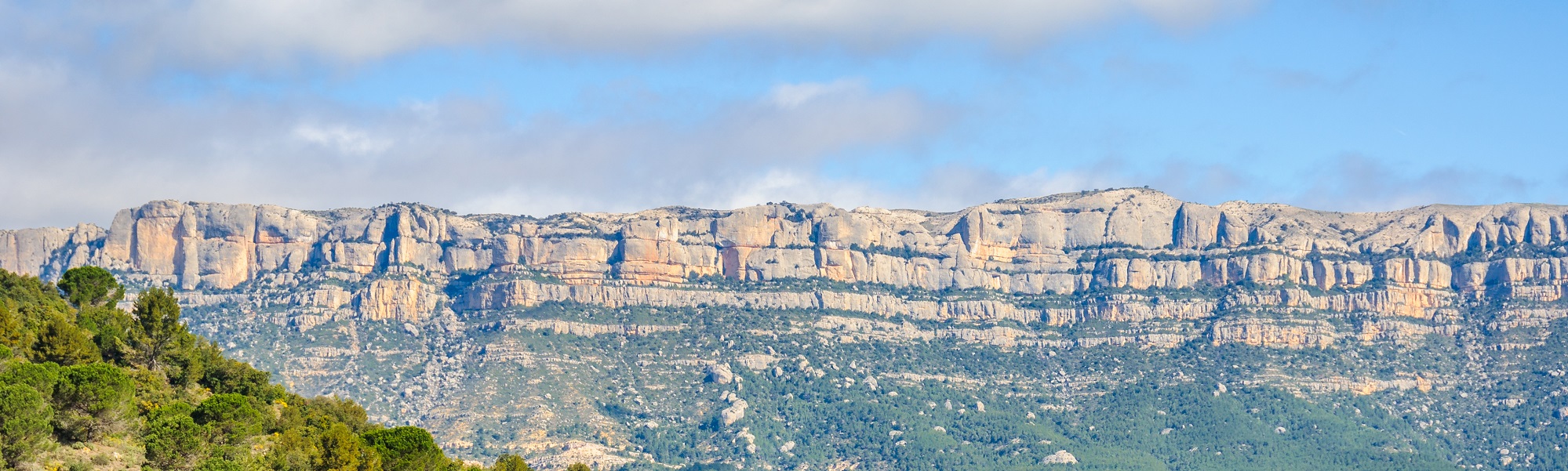 Montsant Wine Region | a Guide by Cellar Tours™