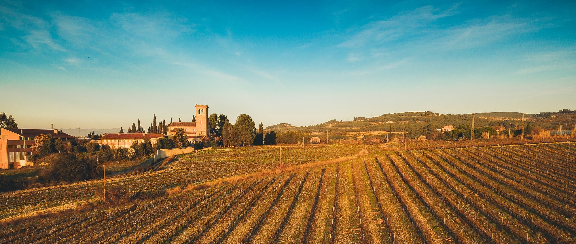 Penedes » Spanish Wine Region » CellarTours