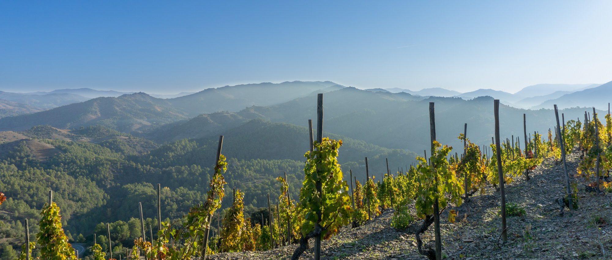 Priorat Wine Region | a Guide by Cellar Tours™