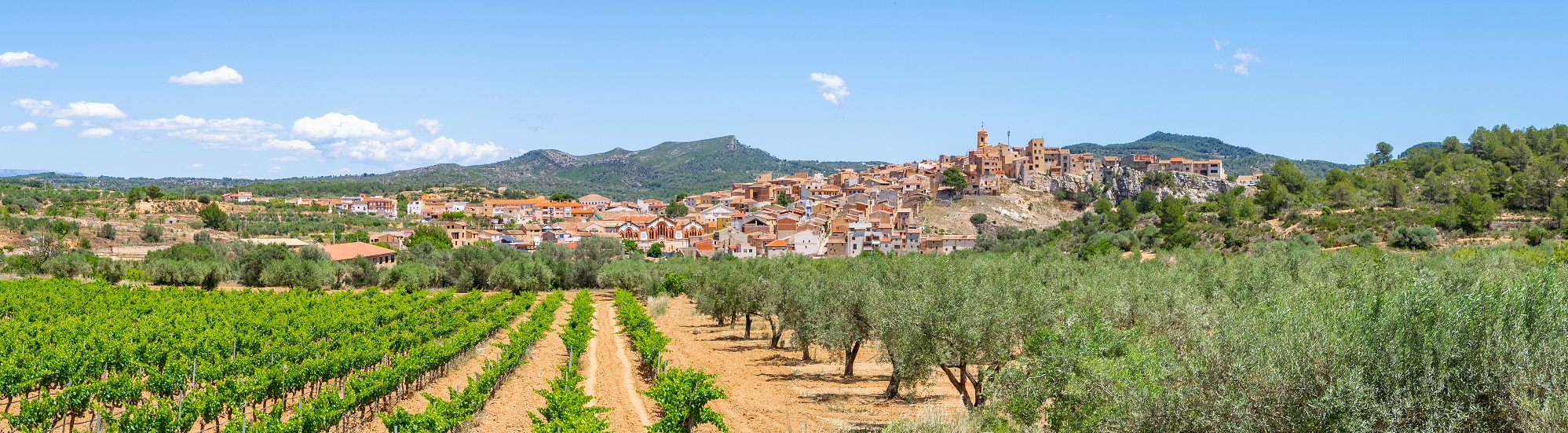 Terra Alta Wine Region | a Guide by Cellar Tours™