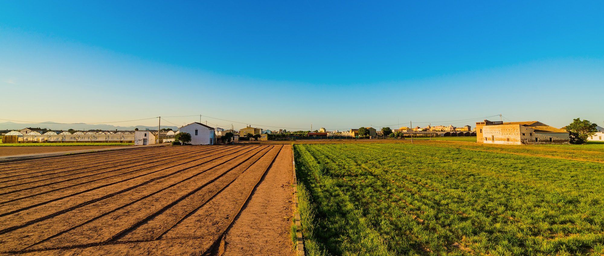 Valencia » Spanish Wine Region » CellarTours