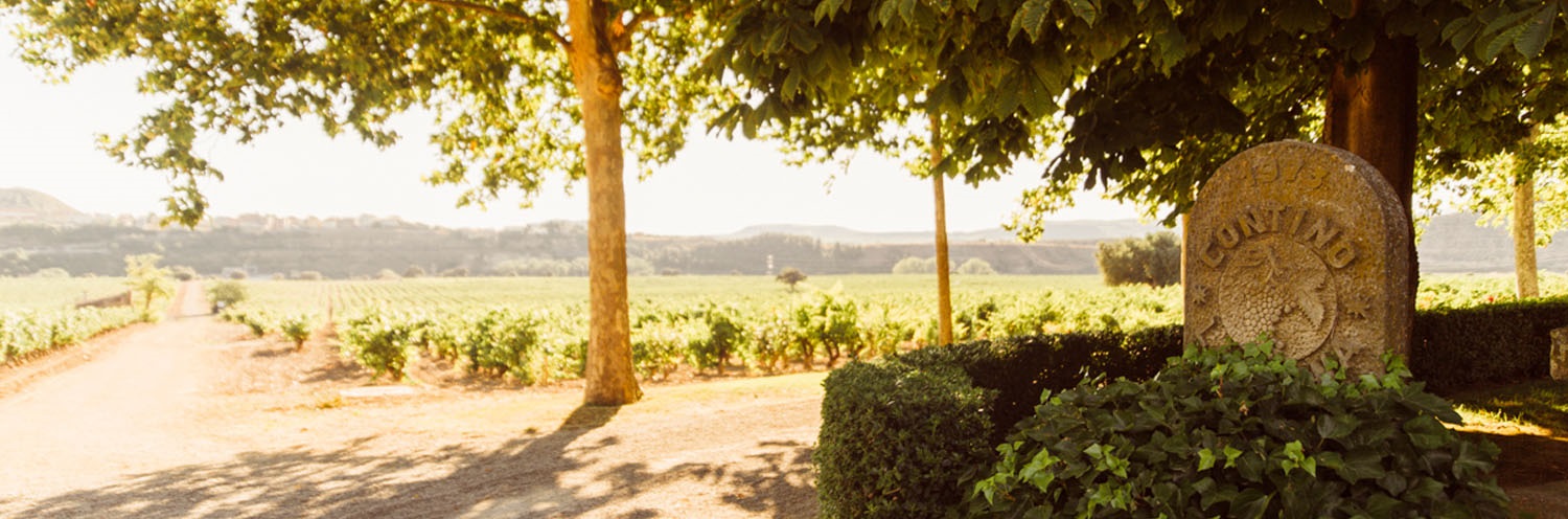 Contino Winery | a Guide by Cellar Tours™